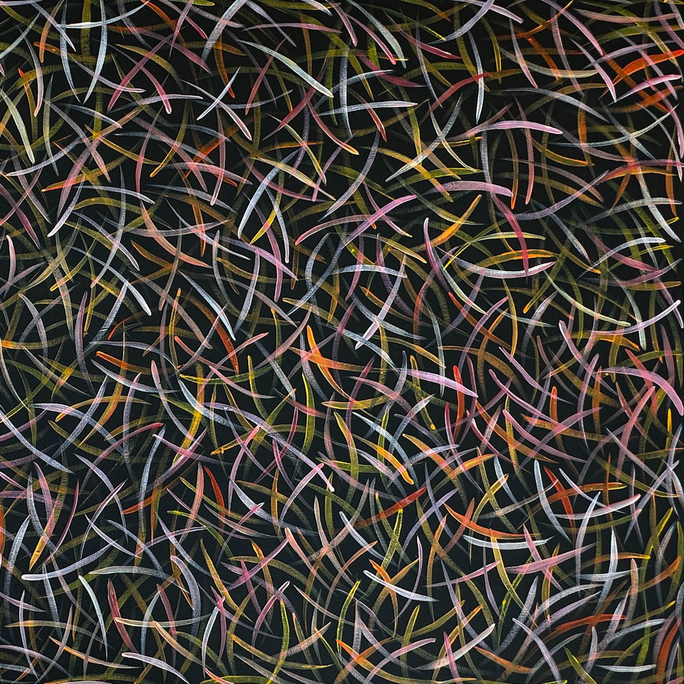 POLLY NELSON NANGALA - Bush Plum – Altyerre Aboriginal Art