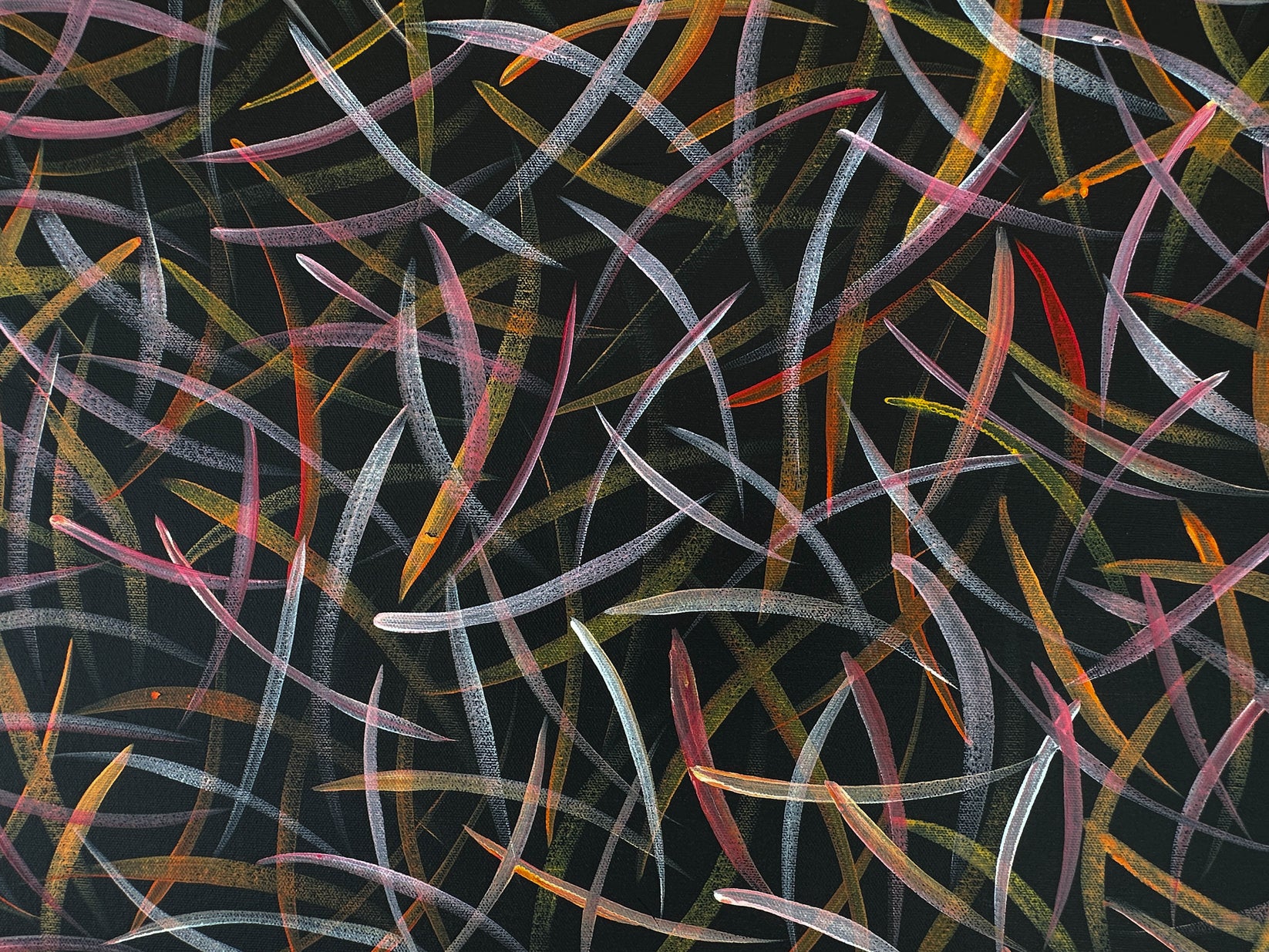 POLLY NELSON NANGALA - Bush Plum – Altyerre Aboriginal Art